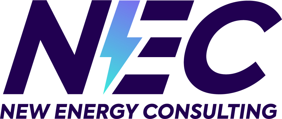 What a Year! NEC's 2020 Review - New Energy Consulting